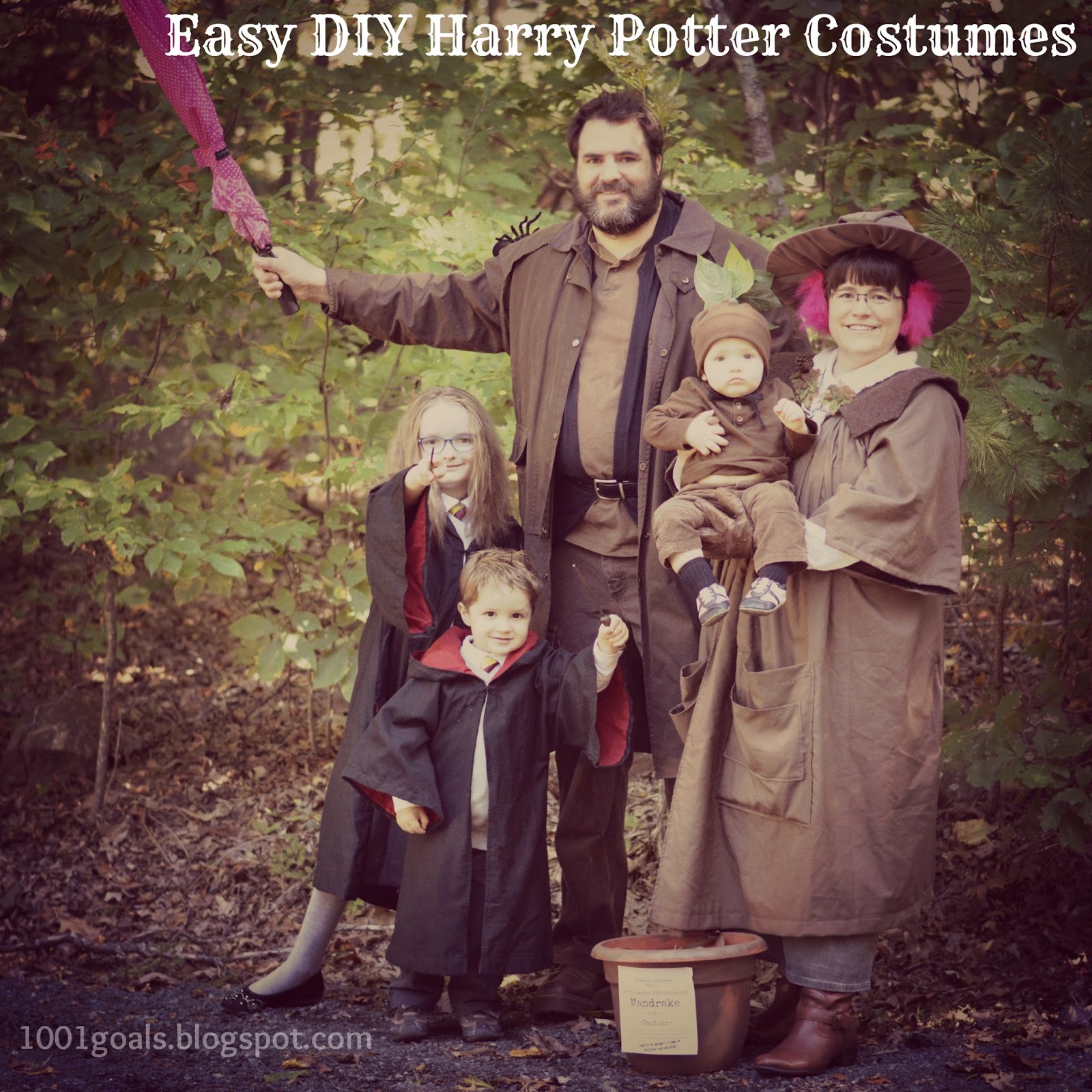 1001 Goals: Easy DIY Harry Potter-themed Costumes