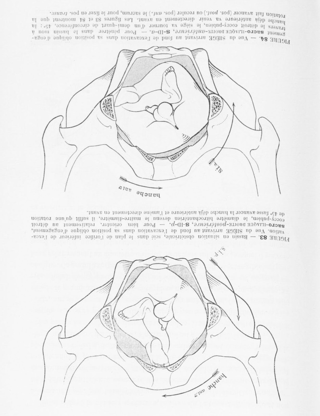 Stand and Deliver: Illustrations of the breech mechanisms from a 1908 ...