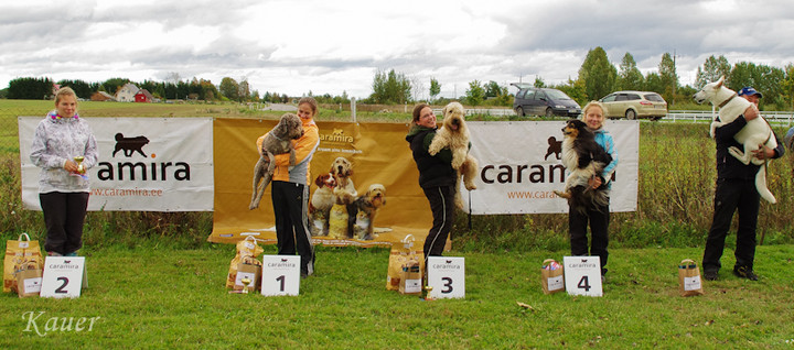 Saksa Lambakoerte Klubi Uran: september 2011