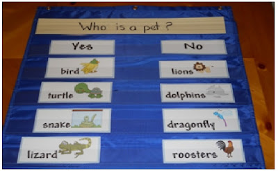 Learning and Teaching With Preschoolers: Pet Shop :Unit