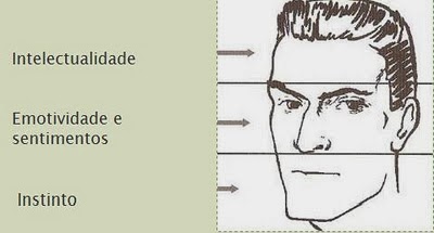 Blog da Monique: Fisiognomonia: A testa