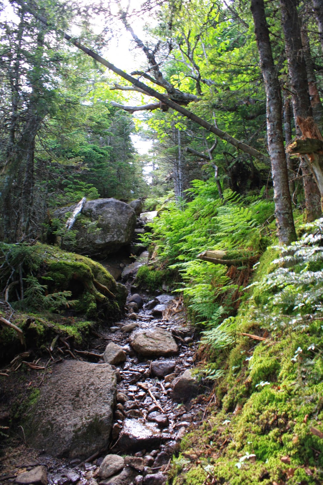 Adirondack Great Range Traverse