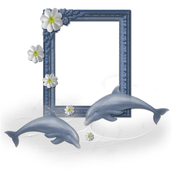 ForgetMeNot: dolphins frames