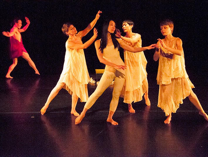 Canberra Critics Circle: FORTUITY - Elizabeth Cameron Dalman