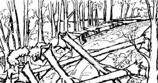 Military Analysis: Abatis.