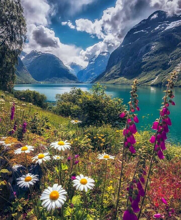 Entertainment / News & Informetion: Imaage For Beautiful Nacher