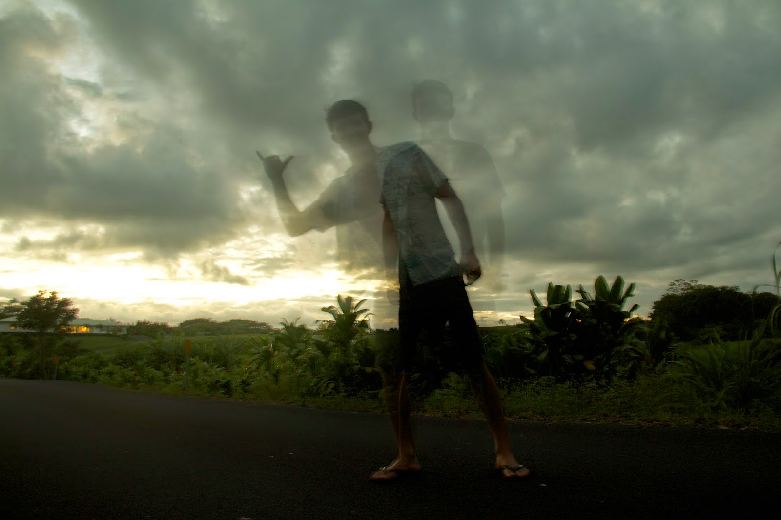 Star Looker Photography