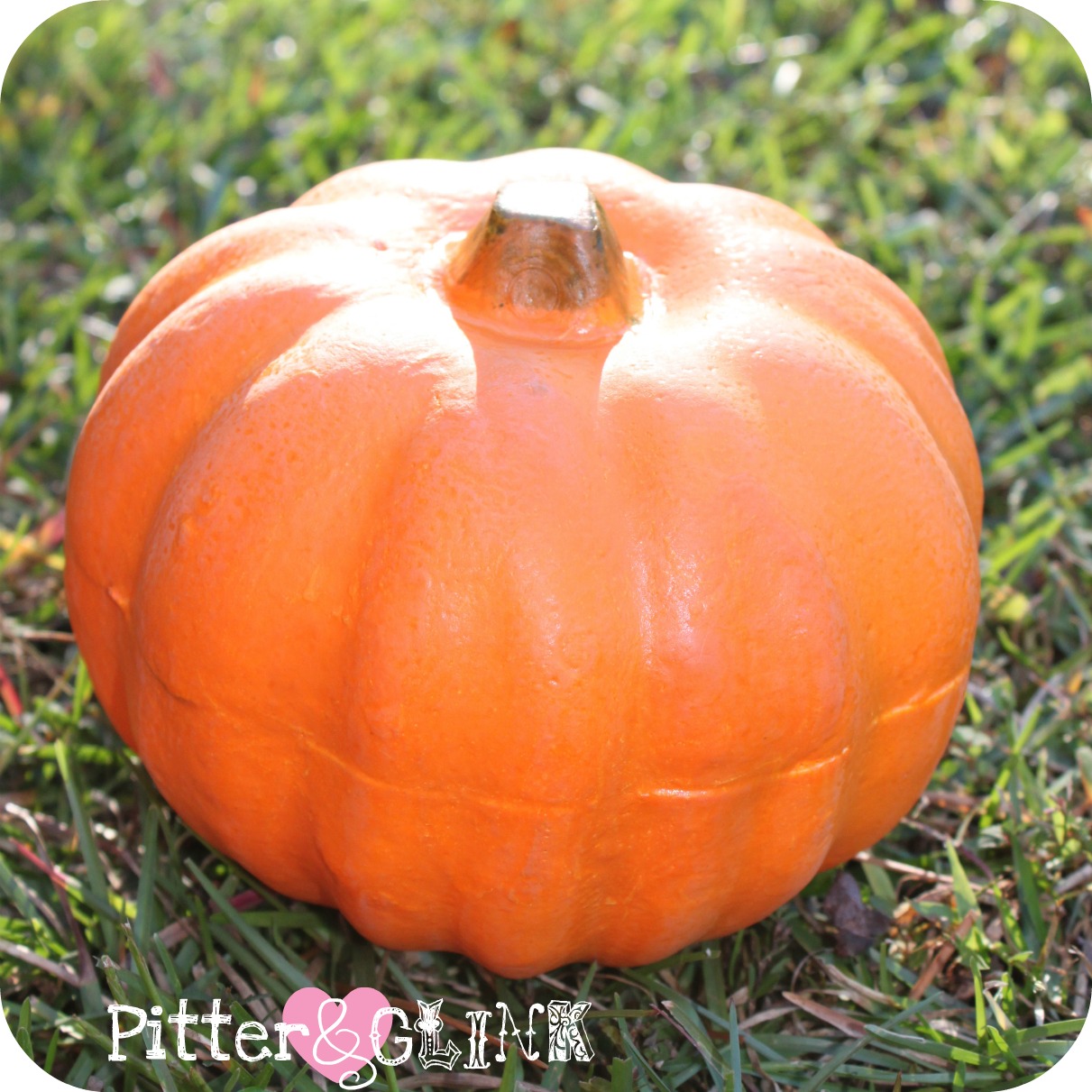 PitterAndGlink: Pink Pumpkins for the Cure