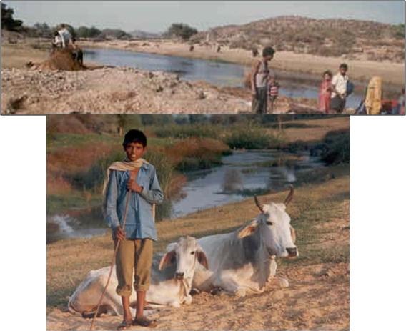 Waterman of India: ARVARI, THE RIVER a people’s movement