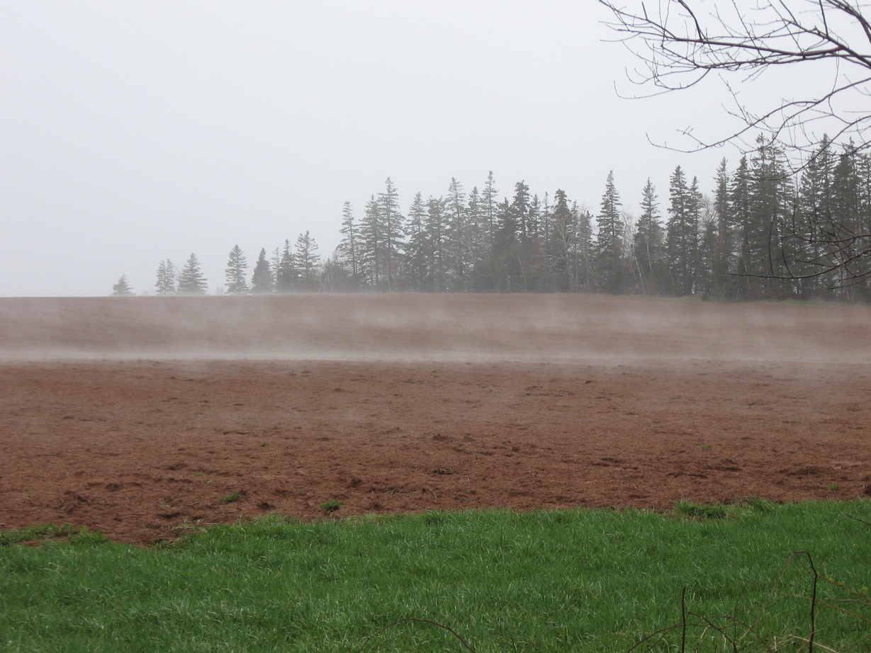 Pedaling PEI: Ground mist