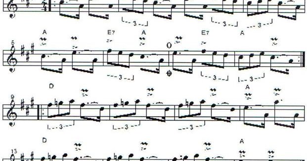 NOTE | DOMACE I STRANE: ČAČAK KOLO NOTE AKORDI TEKST