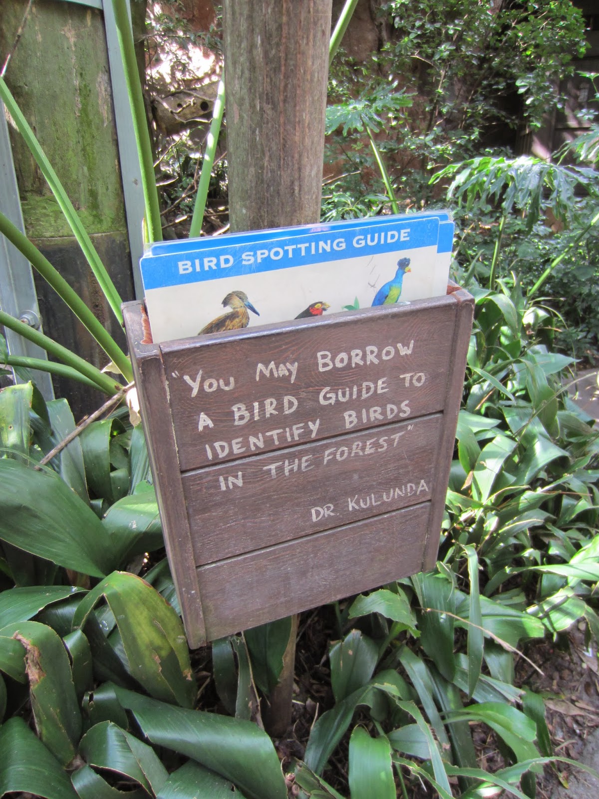 Wilderness Explorers Birding Badge - Scouting WDW | Scouts + Disney