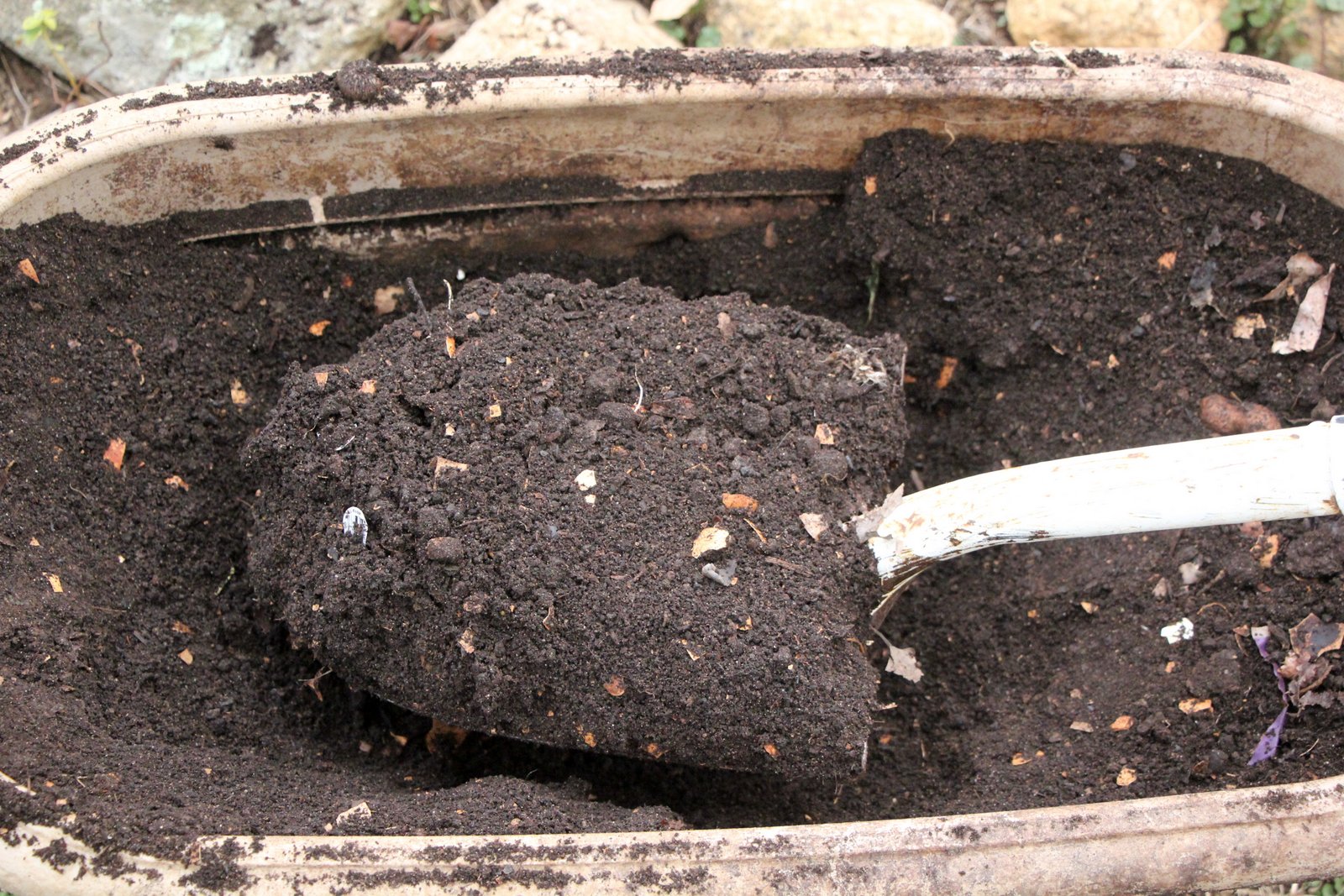 Salt Water New England: Composting