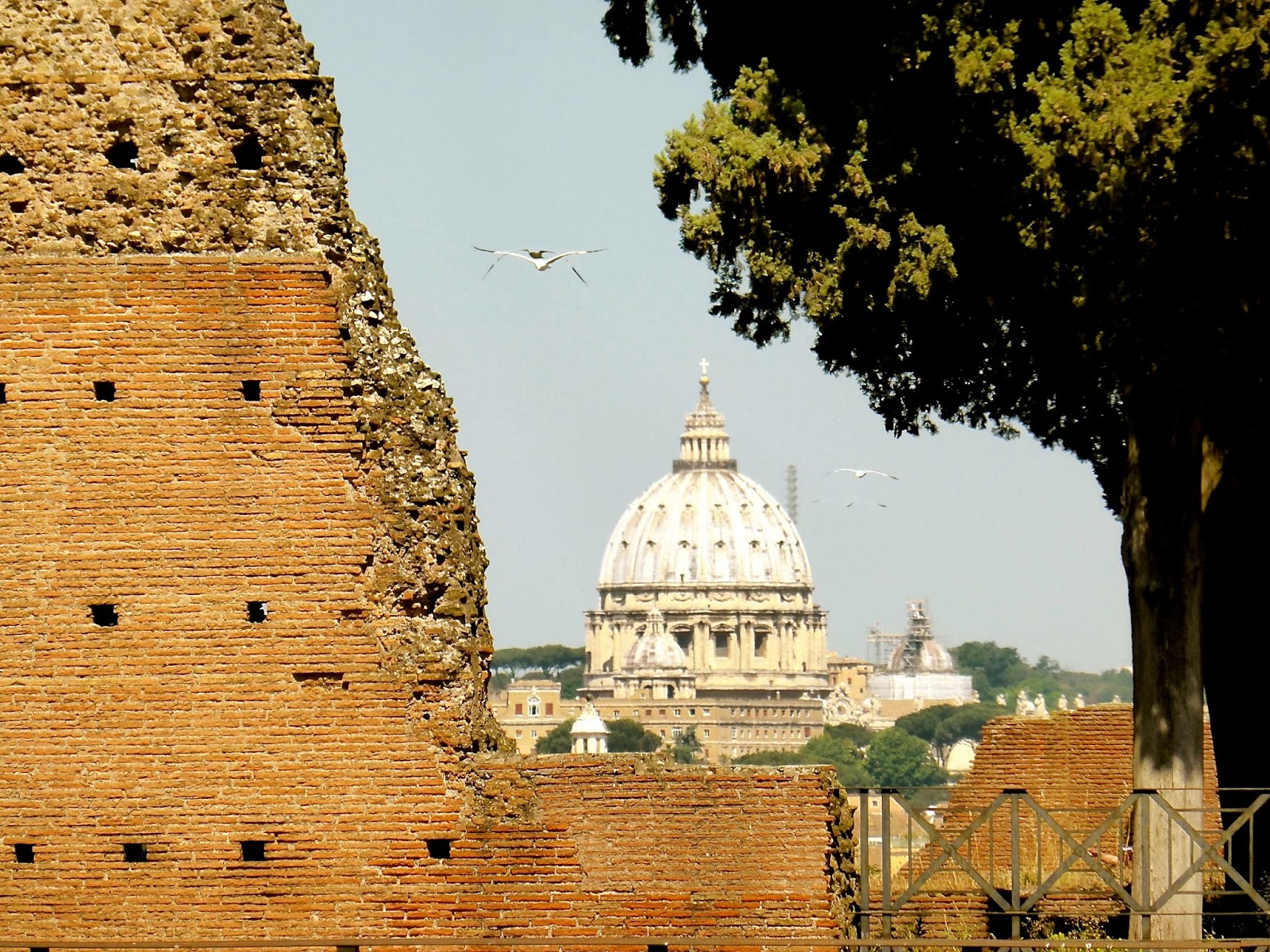 Facciamo un giro in centro?: PALATINO