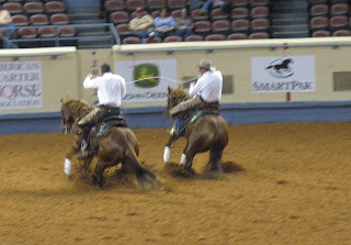My All Around Cowgirl Life: AQHA World Horse Show 2012 Pat Parelli demo