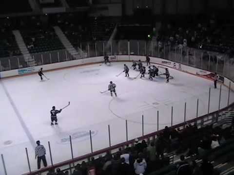 Springfield Jr. Blues Hockey 2011-2012 (Bleed Blue) - NAHL