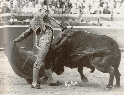 Toro, Torero y Afición: De una entrevista a Emilio Muñoz