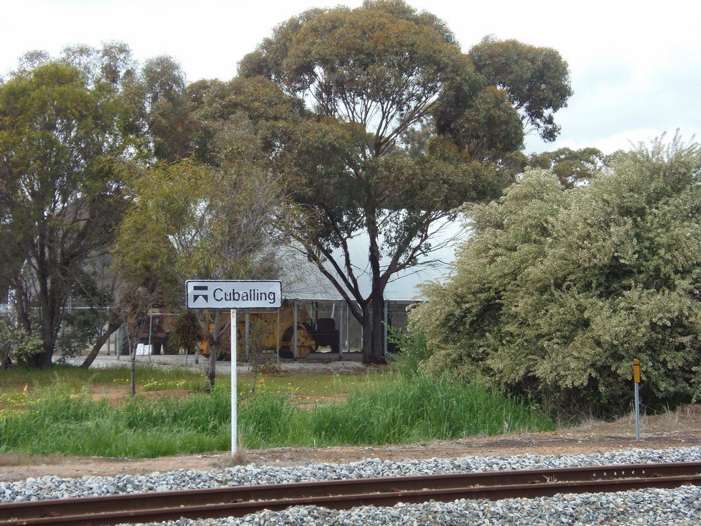 Solo Steve On The Road: CUBALLING WA