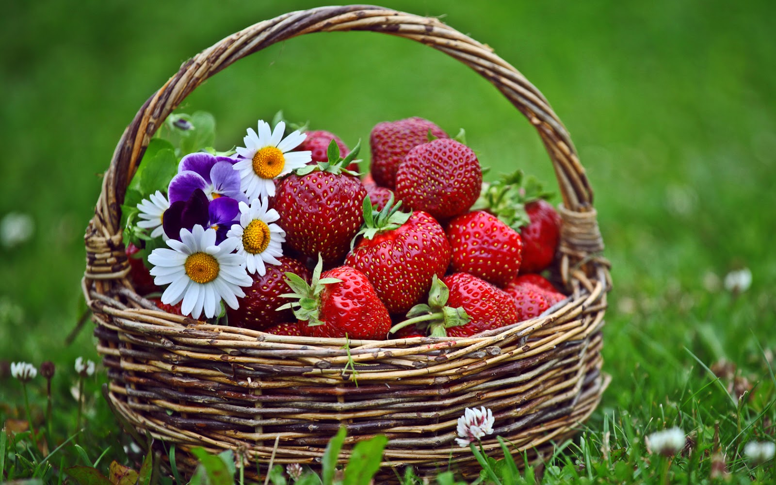 Strawberry HD Wallpaper 1920x1080 ~ HD Wallpaper
