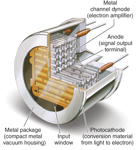 Photonics Building Blocks: PMT - ACRONYM