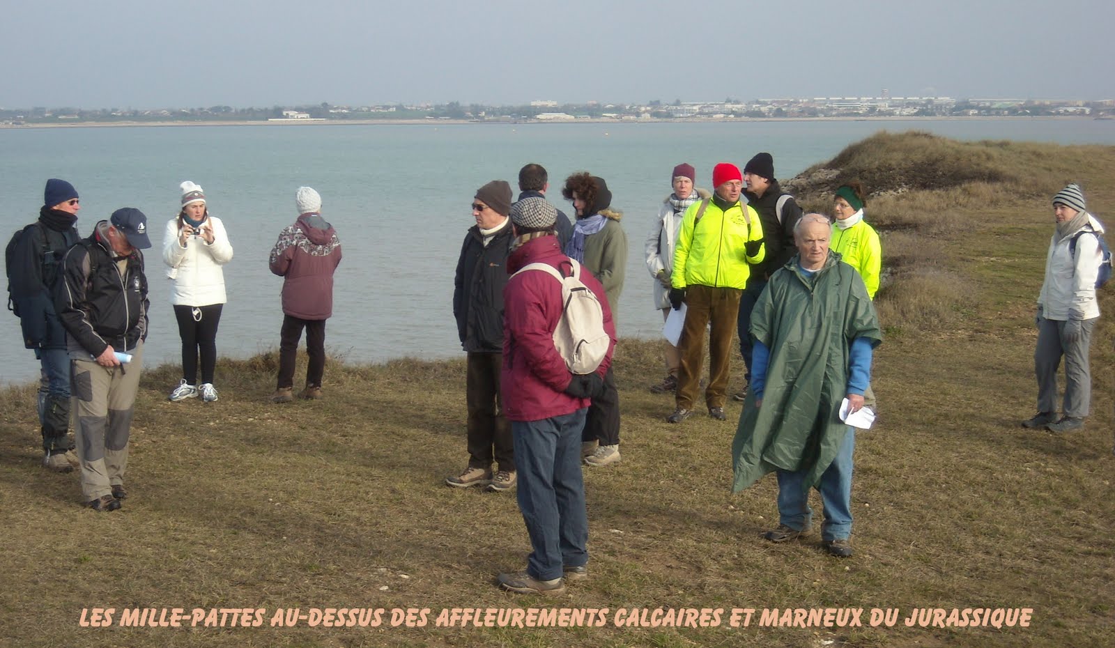 LES MILLE-PATTES DE SAINTONGE: ANGOULINS-SUR-MER en CHARENTE-MARITIME