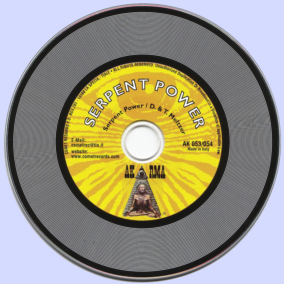 Plain and Fancy: The Serpent Power / Tina And David Meltzer - The ...