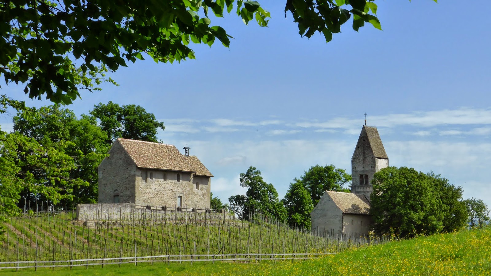 Pfannenstiel Wanderblog: Insel Ufenau & Halbinsel Au (Zürichsee)