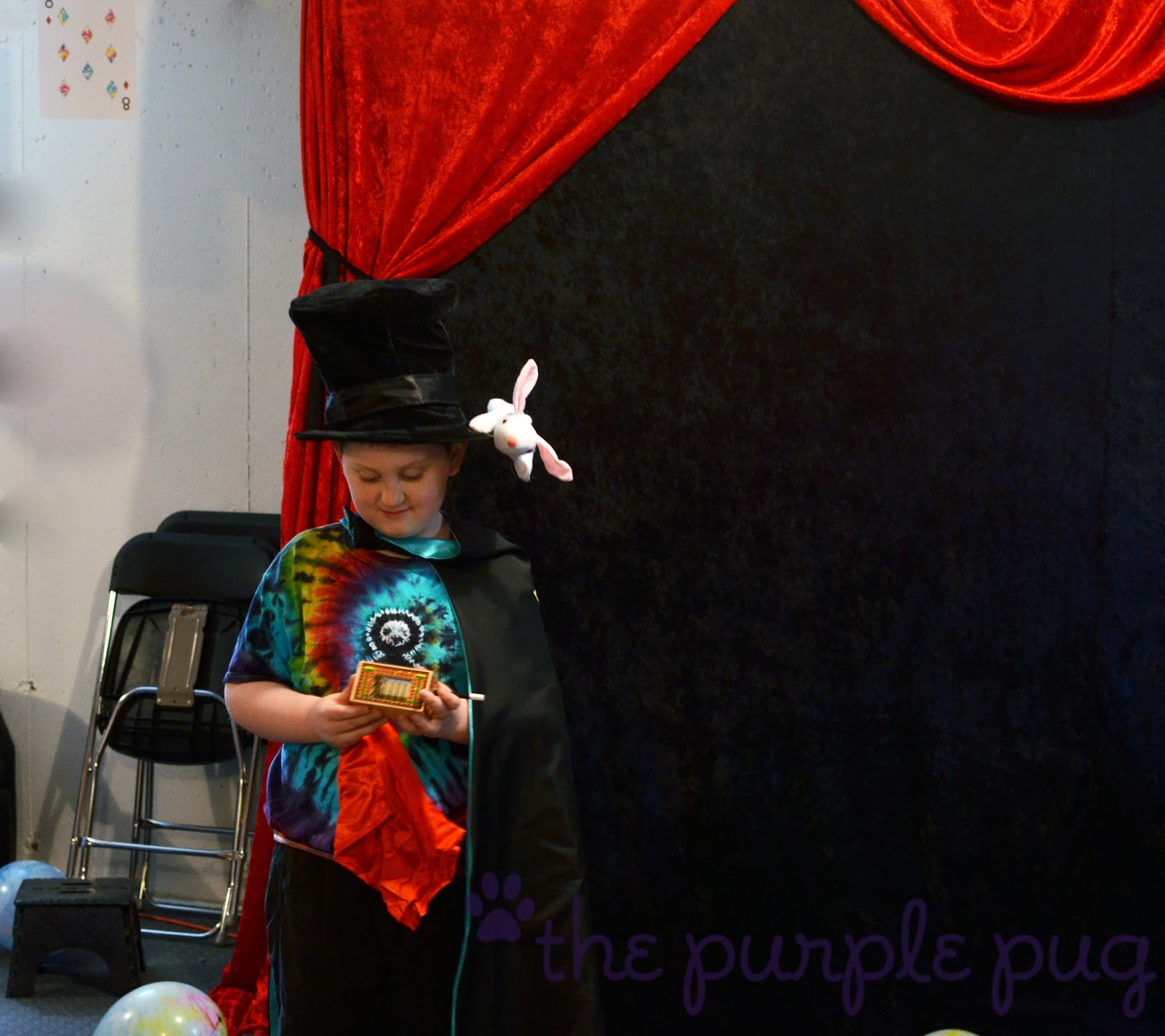 The Purple Pug: The Great Gavini's Magic Show