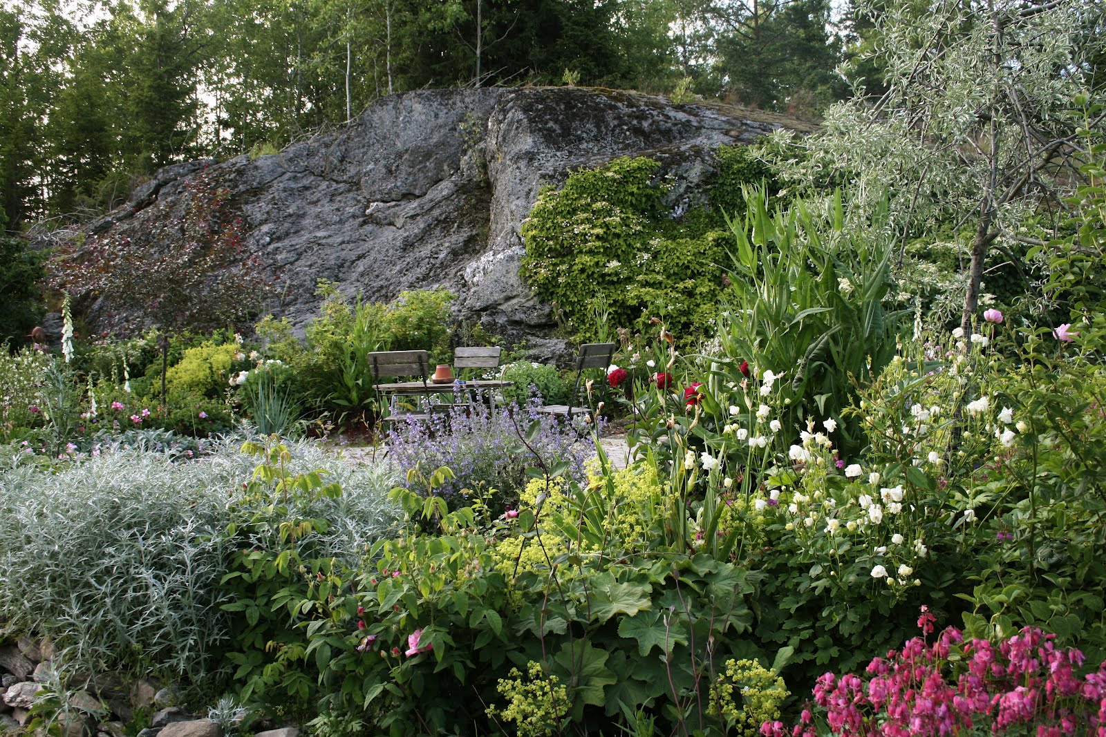 En Trädgårdsälskares betraktelser: Sommarbilder