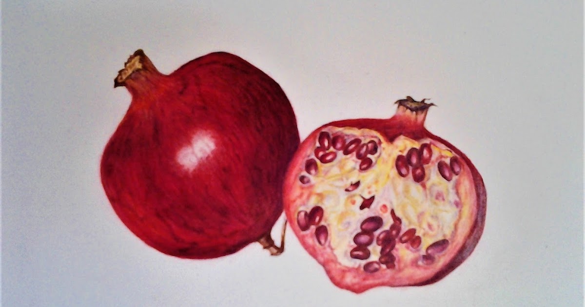 Ottawa Society of Botanical Artists: Coloured Pencil Exhibit at the ...