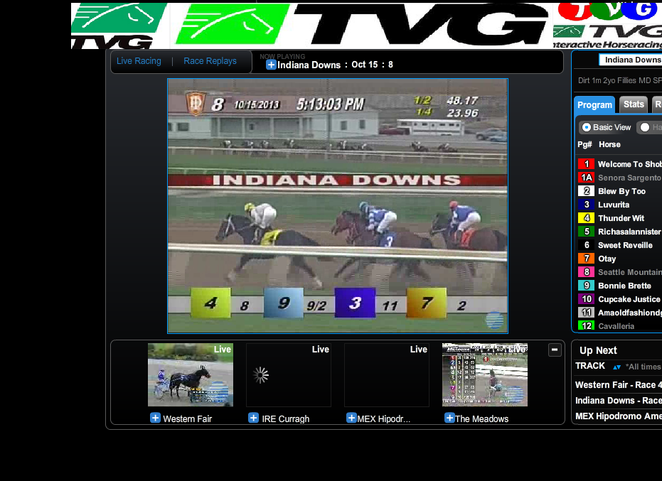 PTP: Breaking News: Ten Big Changes at TVG, and the New CEO Announcement