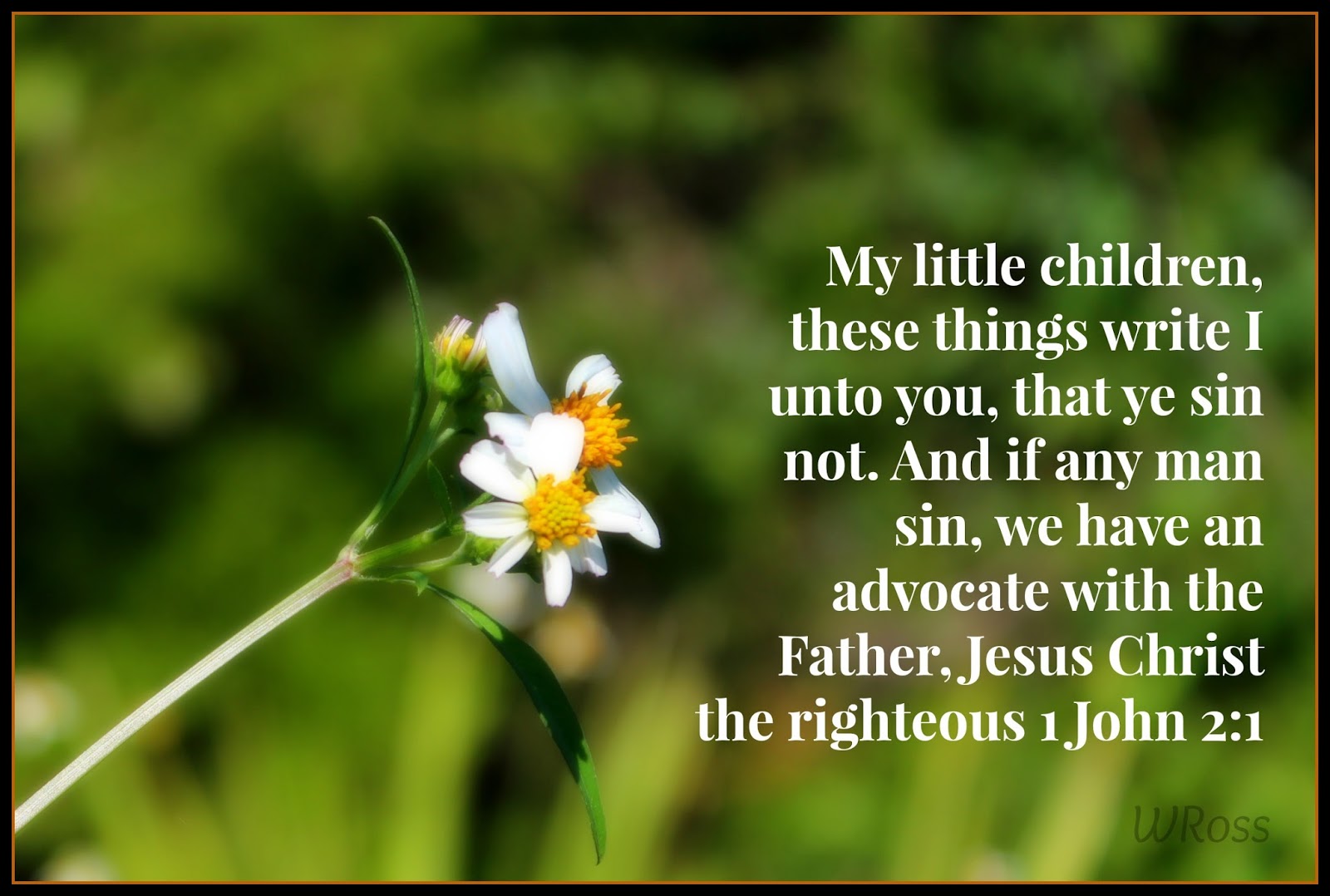 Life at Rossmont: Scripture and a Snapshot, September 25