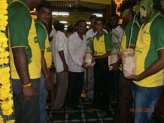 Pillars of India: Tree Saplings distribution by Pillars of India and ...