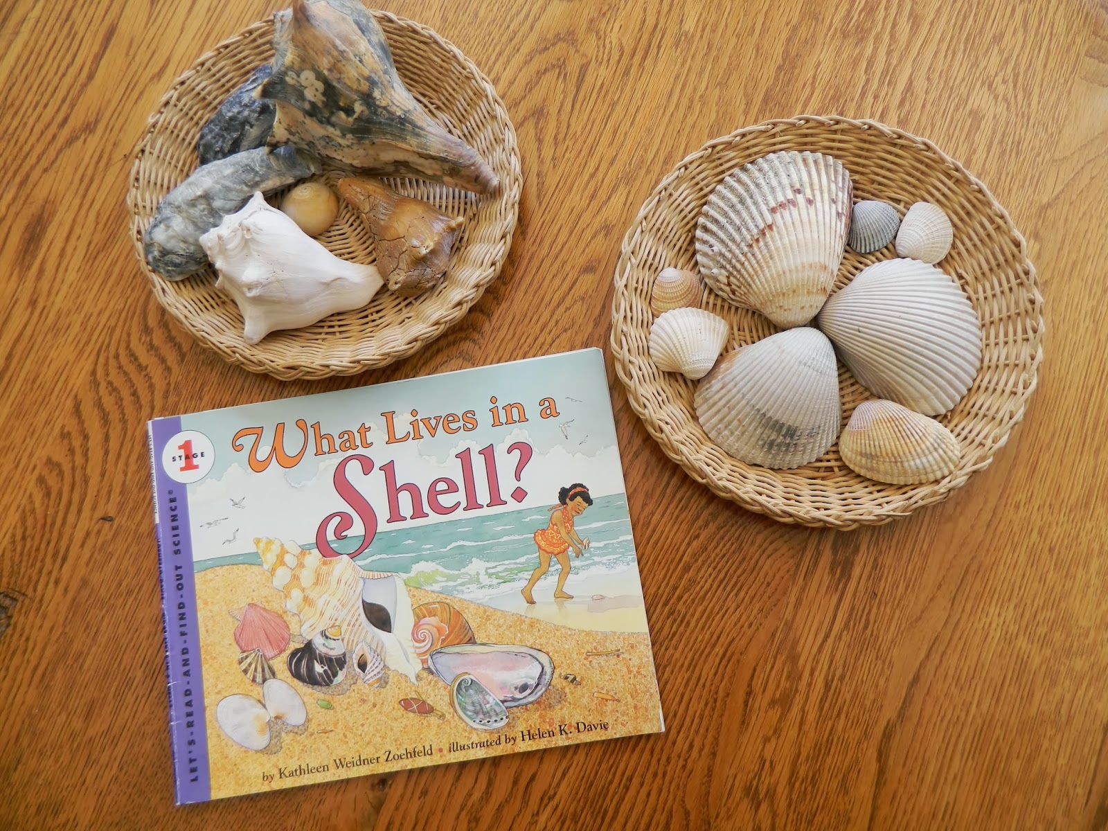 57 Popular Childrens Books with Activities! | True Aim