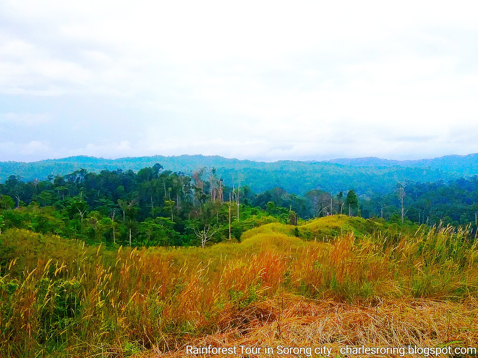 Raja Ampat Club: Nature Tour to Rainforest of Sorong City