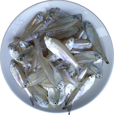 Mouthwatering Food Recipes: 74) FISH PHANNA UPKARI