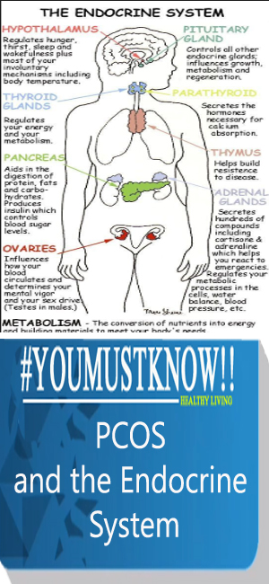 PCOS and the Endocrine System