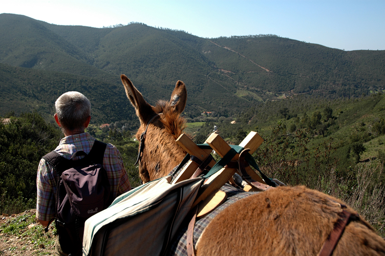 donkey hiking & trekking algarve