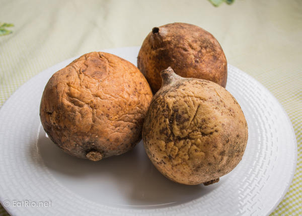 Jenipapo (Genipa americana) | Green Nature Brazil