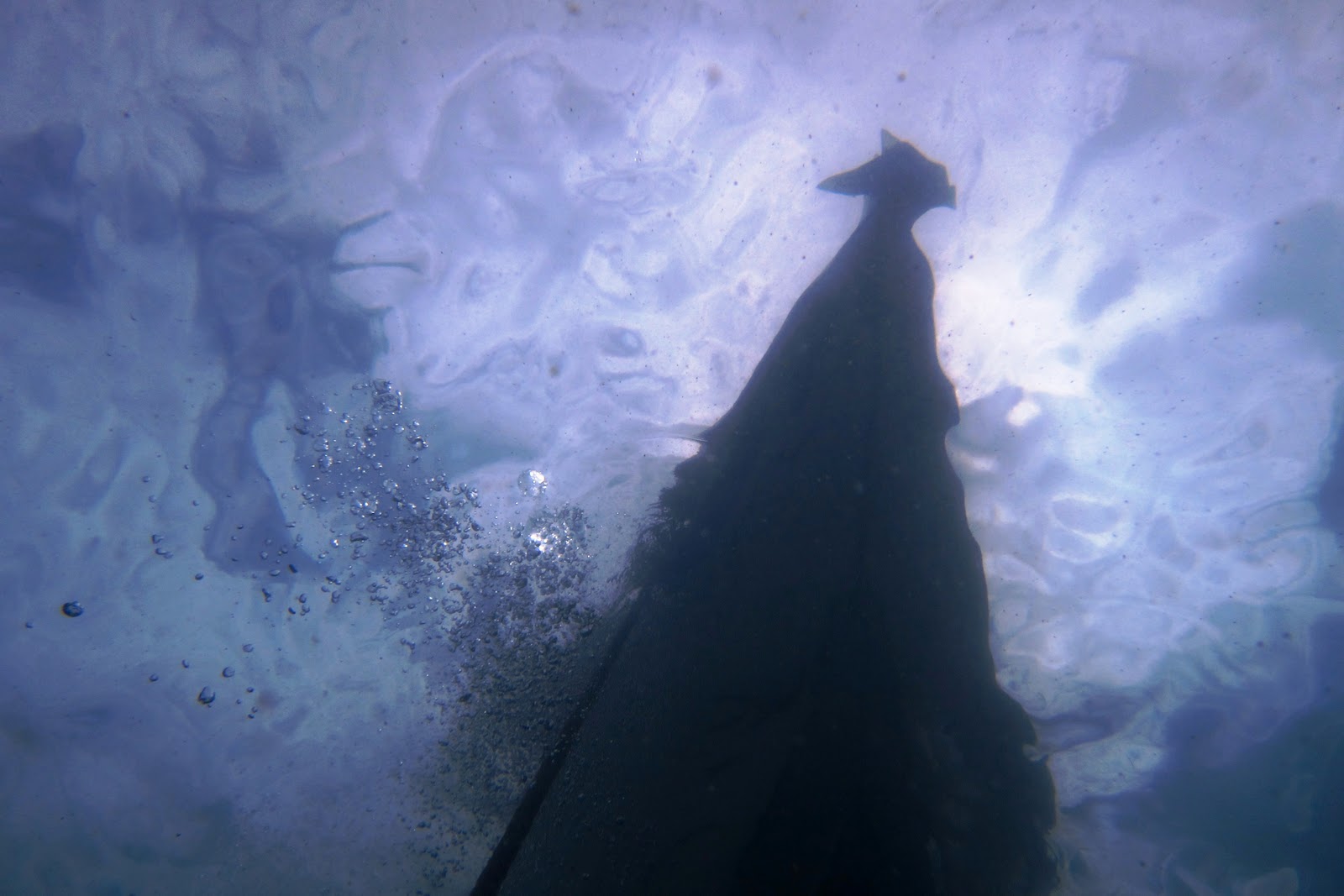 Viajando - Neide Regina Borges: Laje de Santos - 08DEZ11