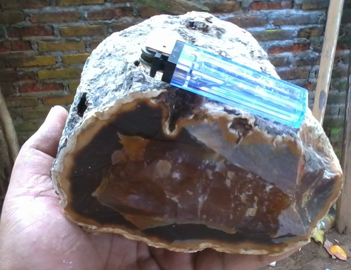 Batu Cincin/Akik Bengkulu: Batu cicin/akik Bengkulu. sepotong bahan ...