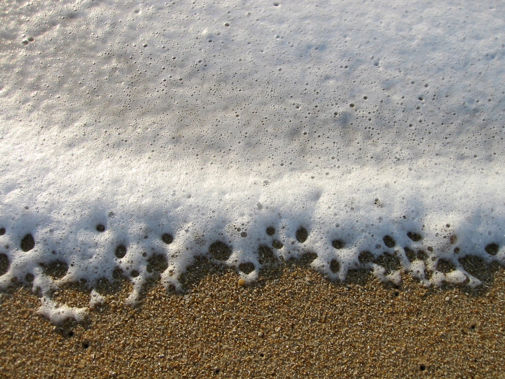 21 Oiduts The Flip Side: Google: Espuma, Result #1