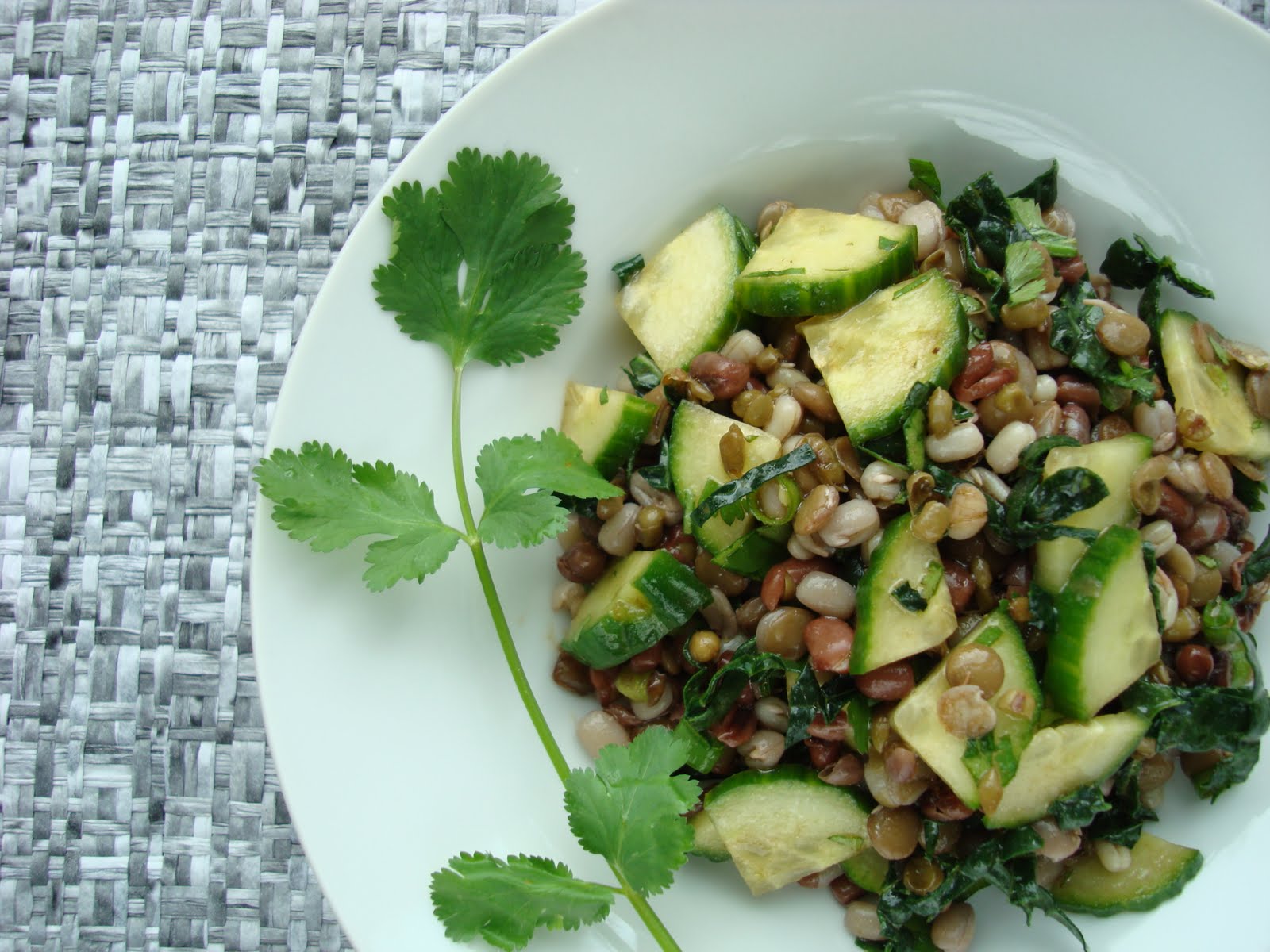 Sprouted Bean Trio Salad Recipe ~ Healthy Journey Cafe