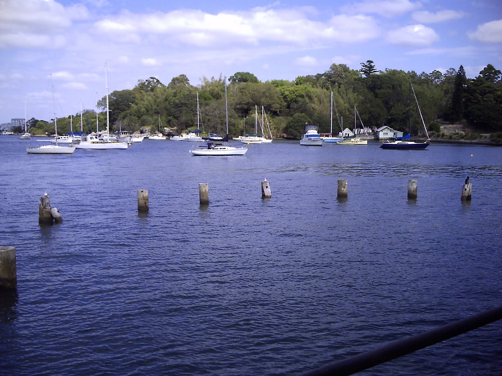 Lazy Swimmer: The Long Swim