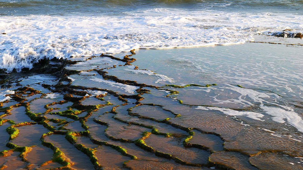 Tamilnadu Tourism: Manappad Beach, Thoothukudi