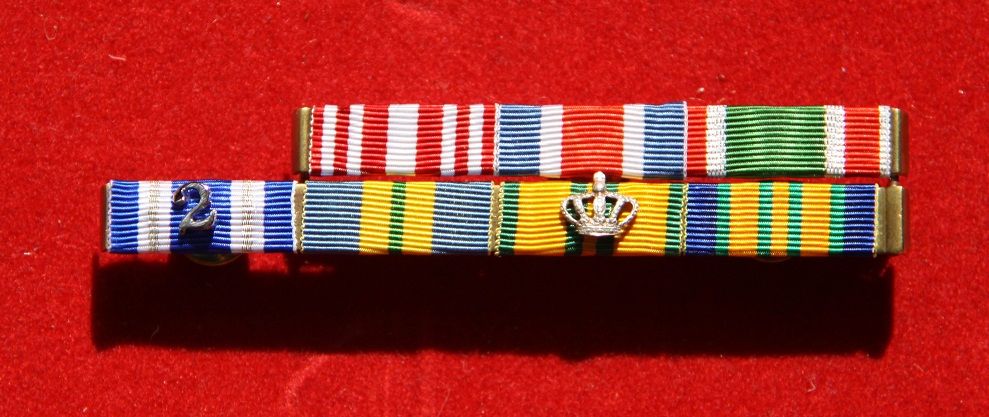 Marchteam Bjørnebanden: Ribbon bar (Uniformsspænde/"sild"), year 2011