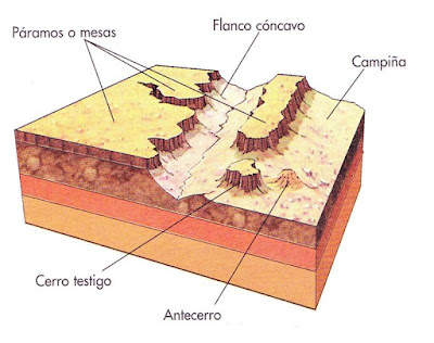 LUGAR VERDE: FORMAS ESTRUCTURALES ELEMENTALES Y PLEGADAS
