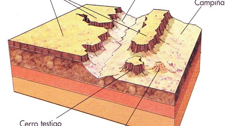 LUGAR VERDE: FORMAS ESTRUCTURALES ELEMENTALES Y PLEGADAS
