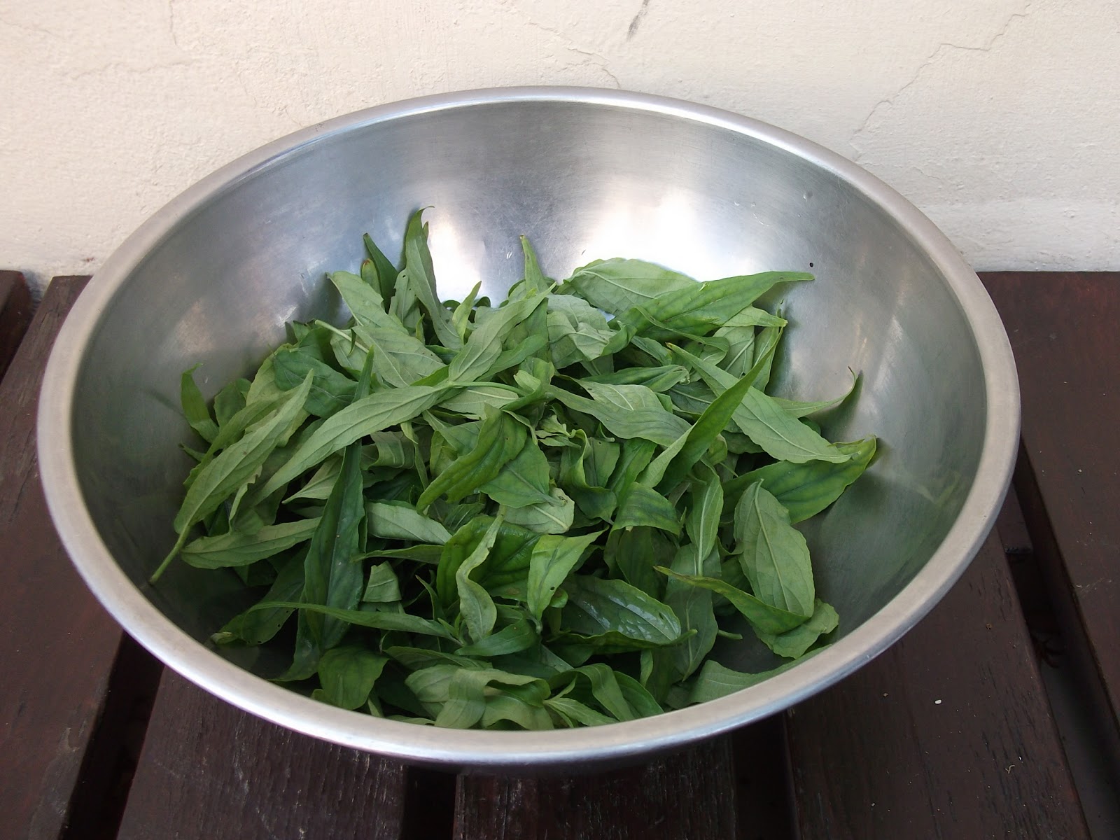 Sabah Snake Grass Dealer Singapore: Prices of Sabah Snake Grass Leaves