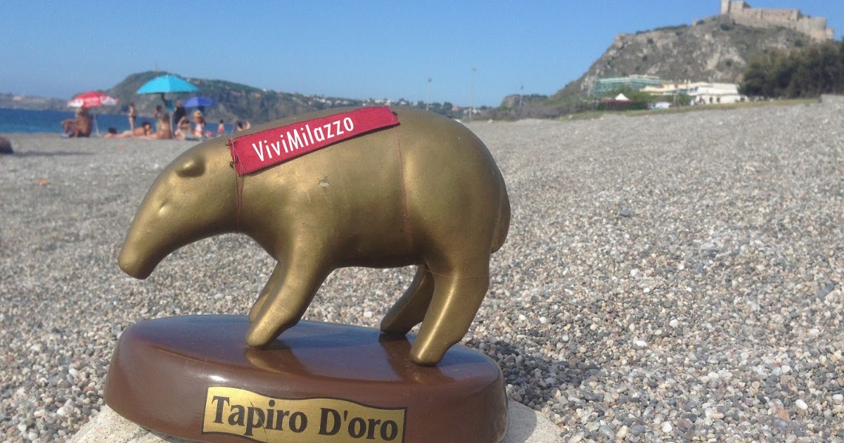 Un Tapiro d'Oro a Milazzo, la Foto Scattata sulla Spiaggia di Ponente